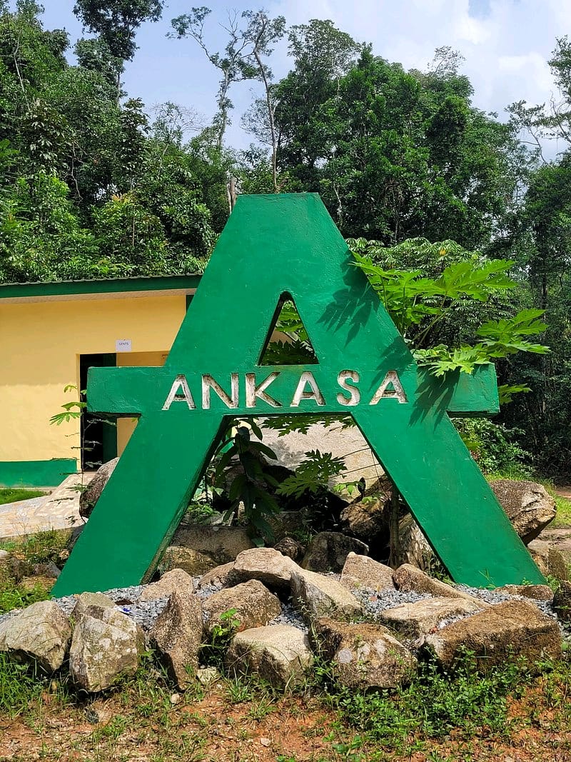 Ankasa Conservation Area | Explore Ghana’s Untouched Rainforest ...